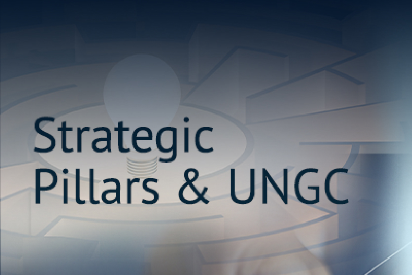 Strategic Pillars & UNGC